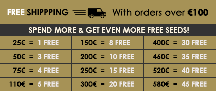 Cannabis & Marijuana Seeds | BARNEYS FARM