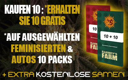 Cannabis Samen und Marihuana Samen Kaufen Von BARNEYS FARM