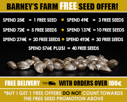 Feminized Seeds | BARNEYS FARM