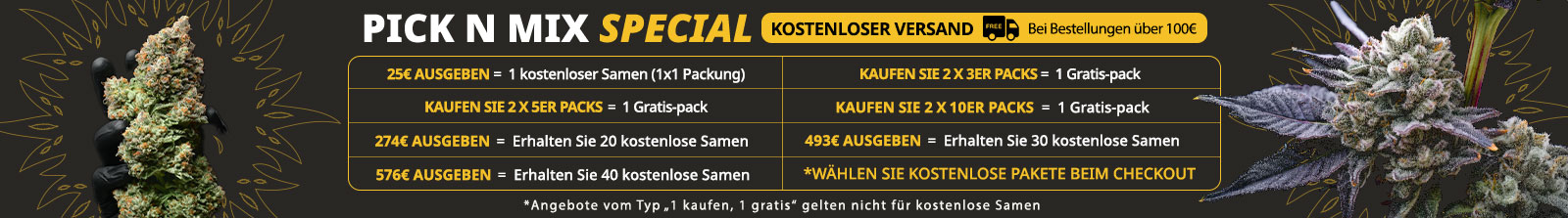 Cookie Casket Weed Strain Samen | Barneys Farm