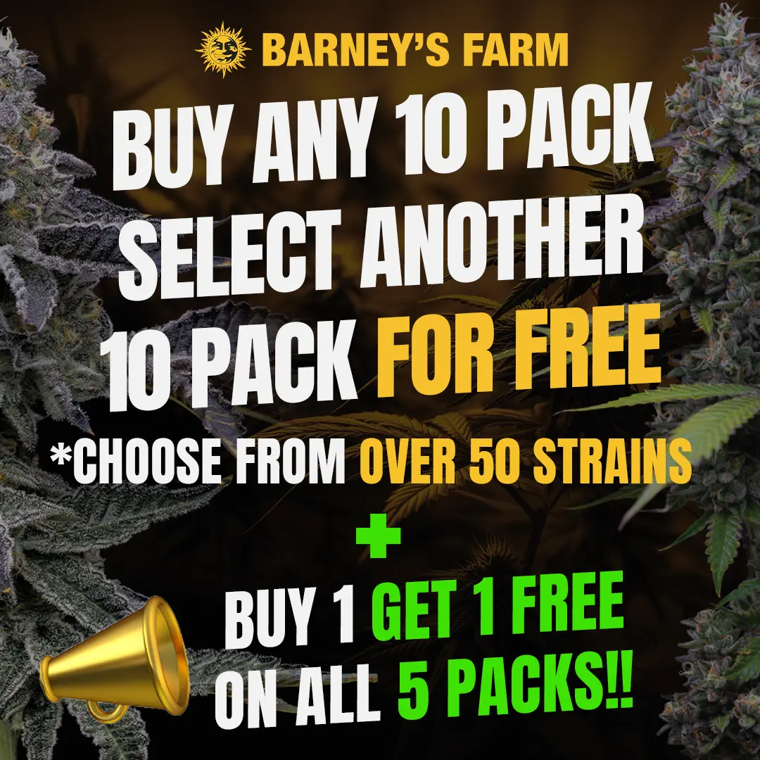 Σπόροι Κάνναβης & Μαριχουάνας | BARNEYS FARM Seed Bank