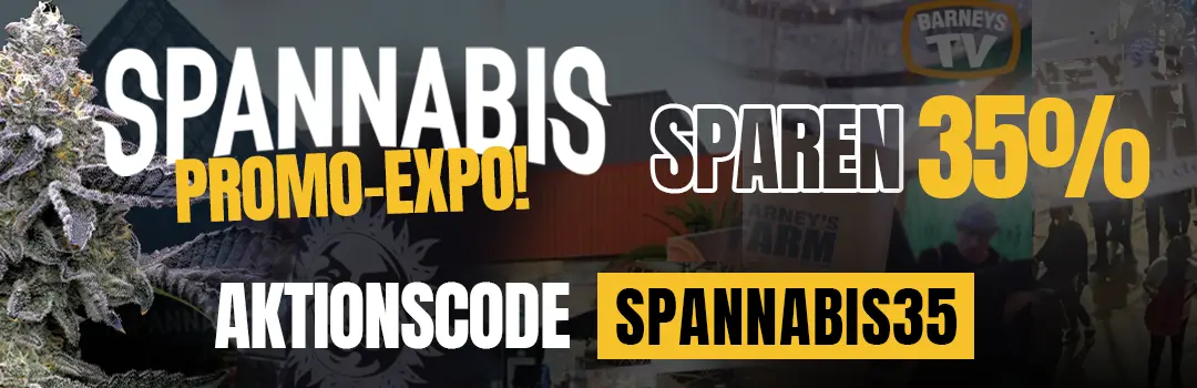 Kaufen Shiskaberry Strain Samen