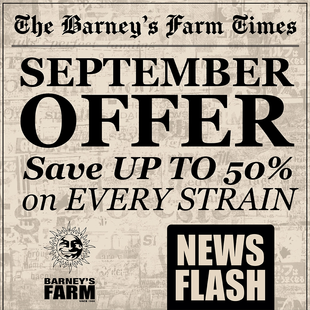 Buy Cannabis Seeds | Barney's Farm 2.0 Exclusive Seedbank