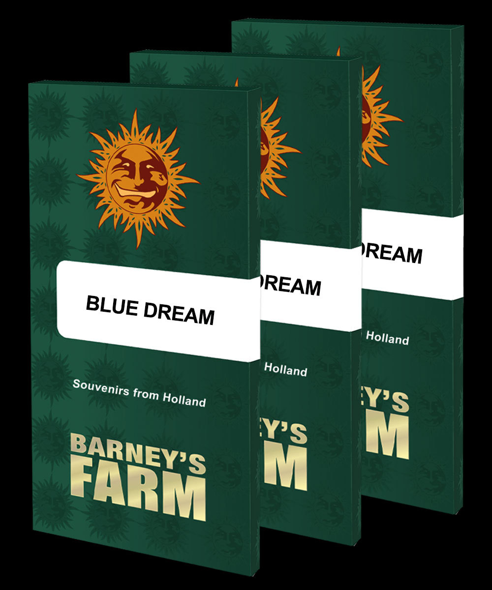 Blue Dream Weed Strain seeds | BARNEYS FARM