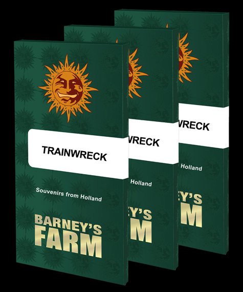 Cali Weed Strain Seeds | Barneys Farm UK
